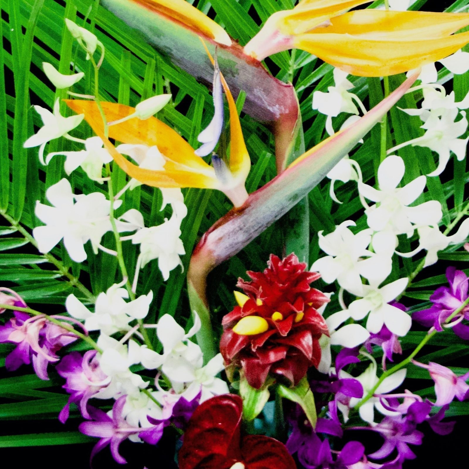 Wedding Hawaiian Tropic Style – Puna Kamalii Flowers, Inc