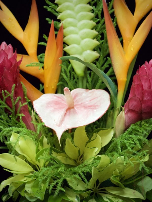 Hawaiian Wedding Bouquet – Puna Kamalii Flowers, Inc